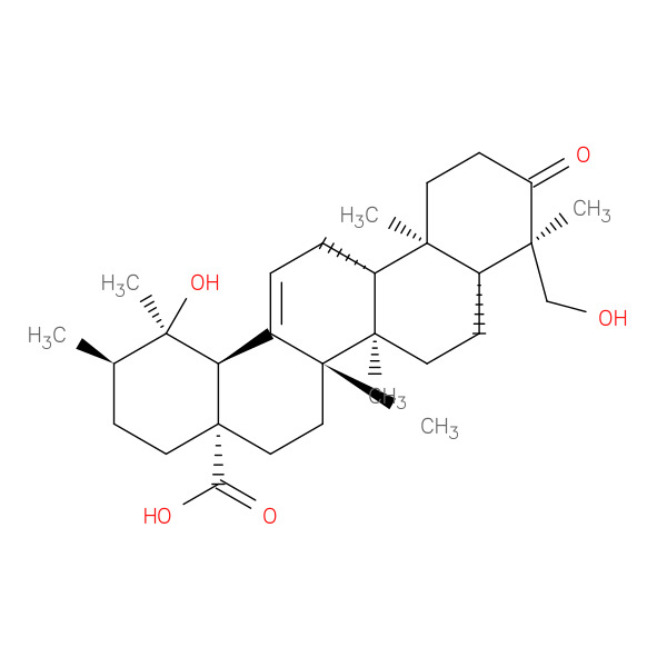 ｜TCIケミカルトレーディング株式会社